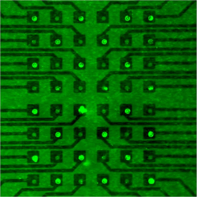 Exploring Liquid-Based Memories for Ultrahigh Density Storage