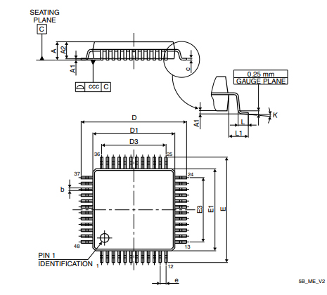 STM32F100C8T6B: 24MHz, 48-LQFP, Pinout and Datasheet